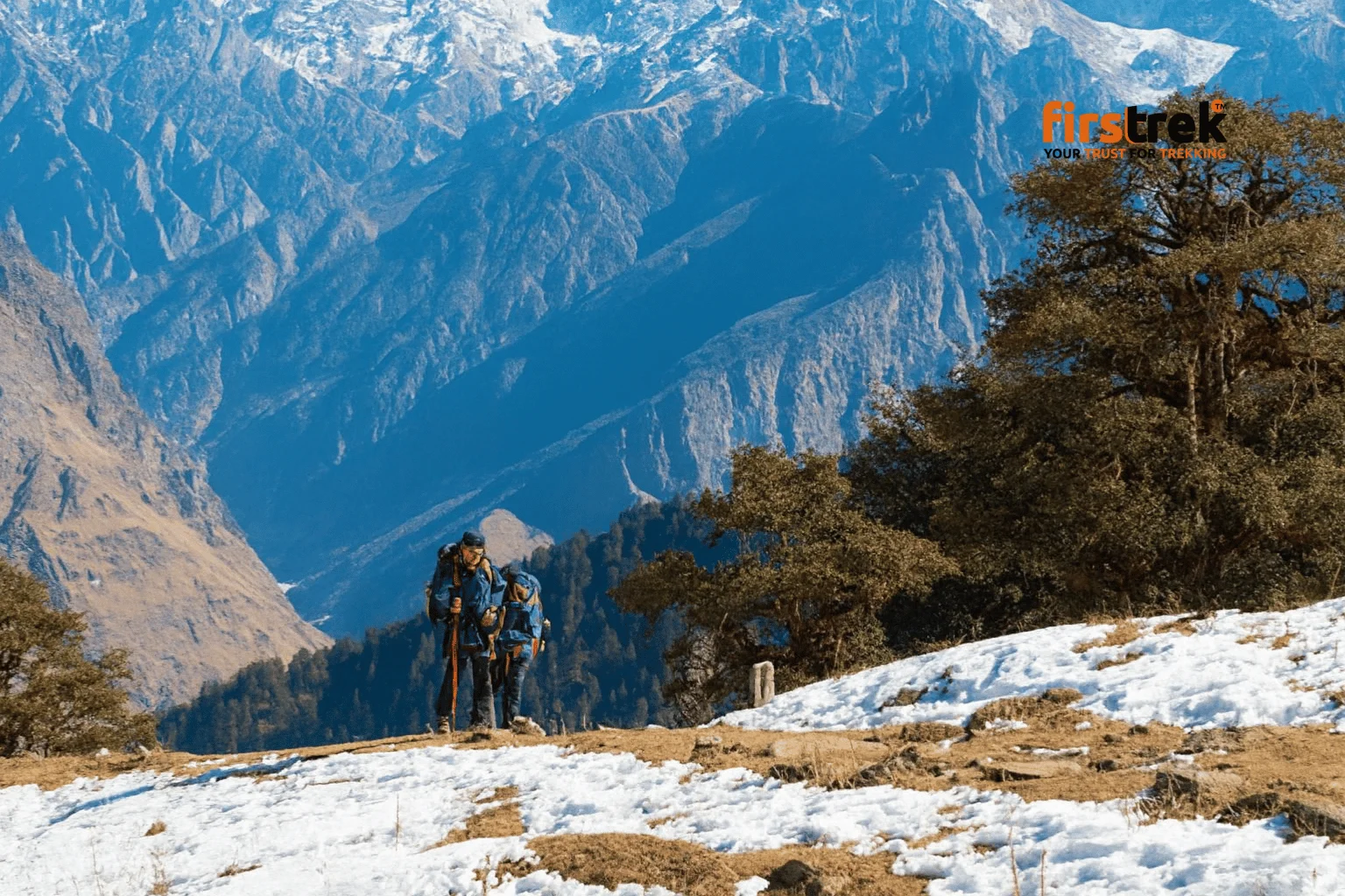 Pangarchulla Peak Trek - Detailed Itinerary, Cost & Tour Guide - FirstTrek